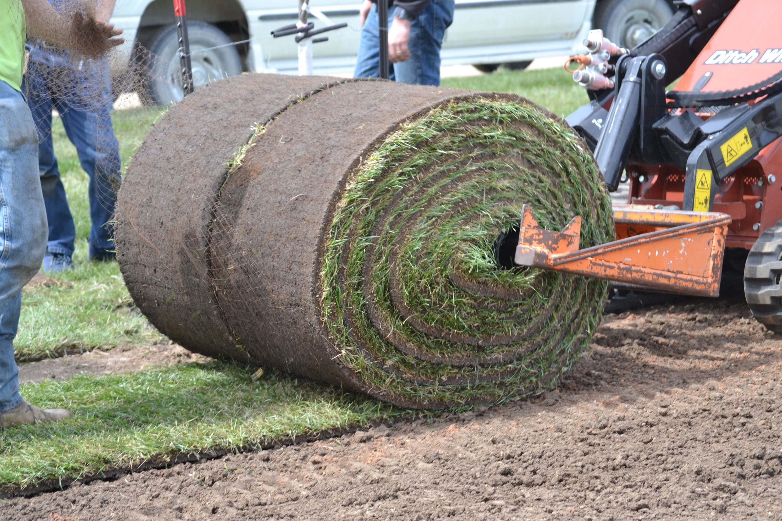 Sod & Seed – Valleyscapes Landscaping